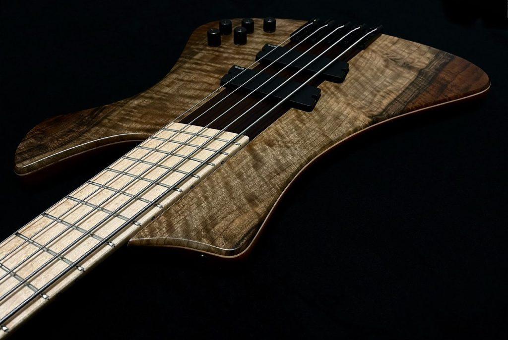 Infinity Rockbird - MGBASS GUITARS